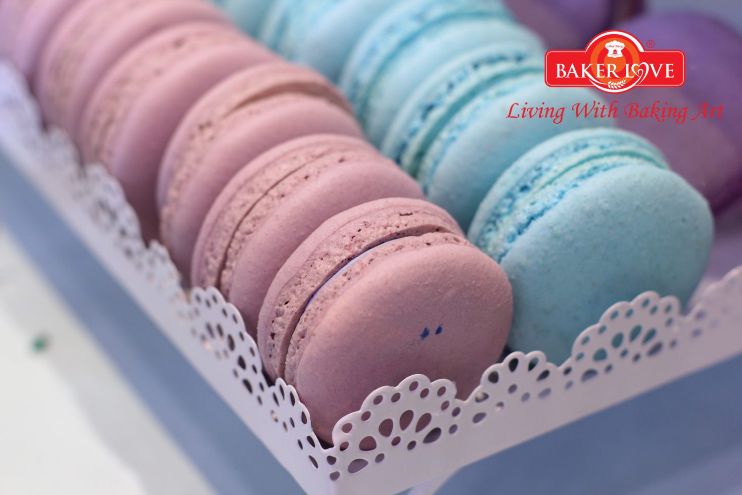 Bánh Macaron - Kiêu sa như một quý cô khó tính!! - Trung Tâm Dạy Nghề ...